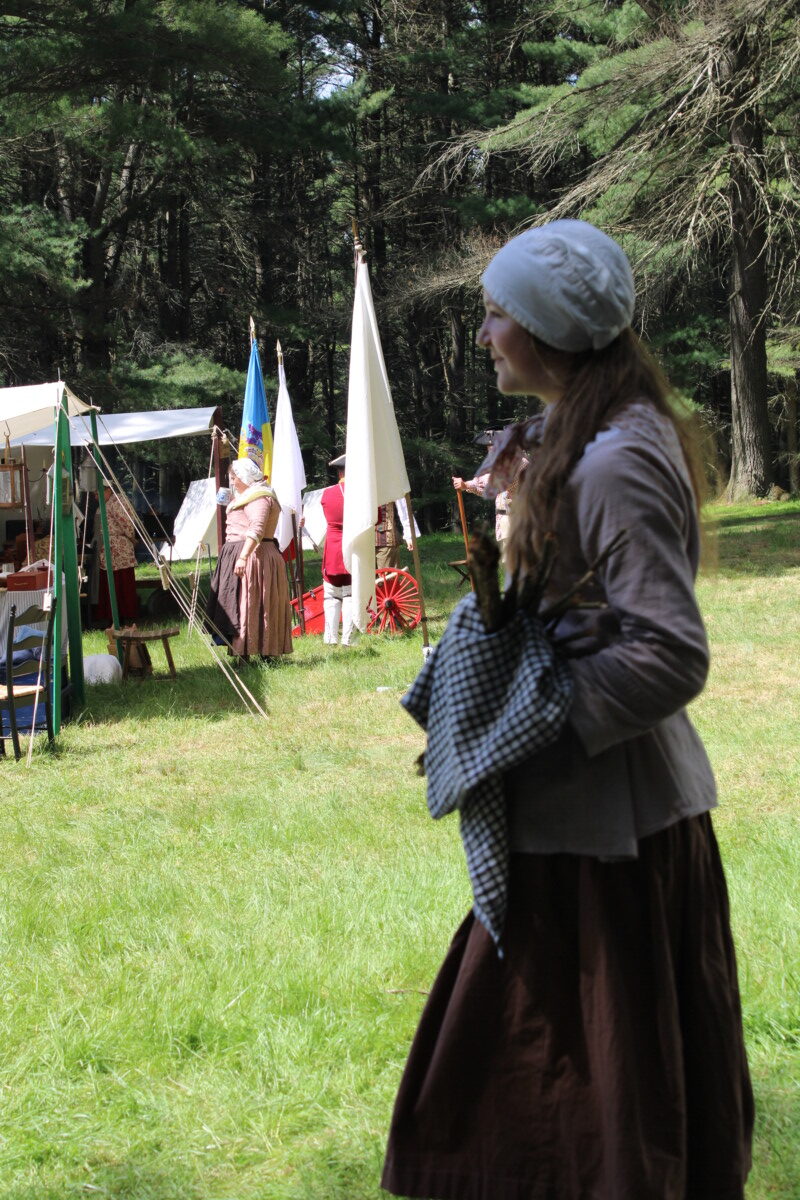 Discover Cook Forest: First-Time Visitor’s Guide | Clarion County